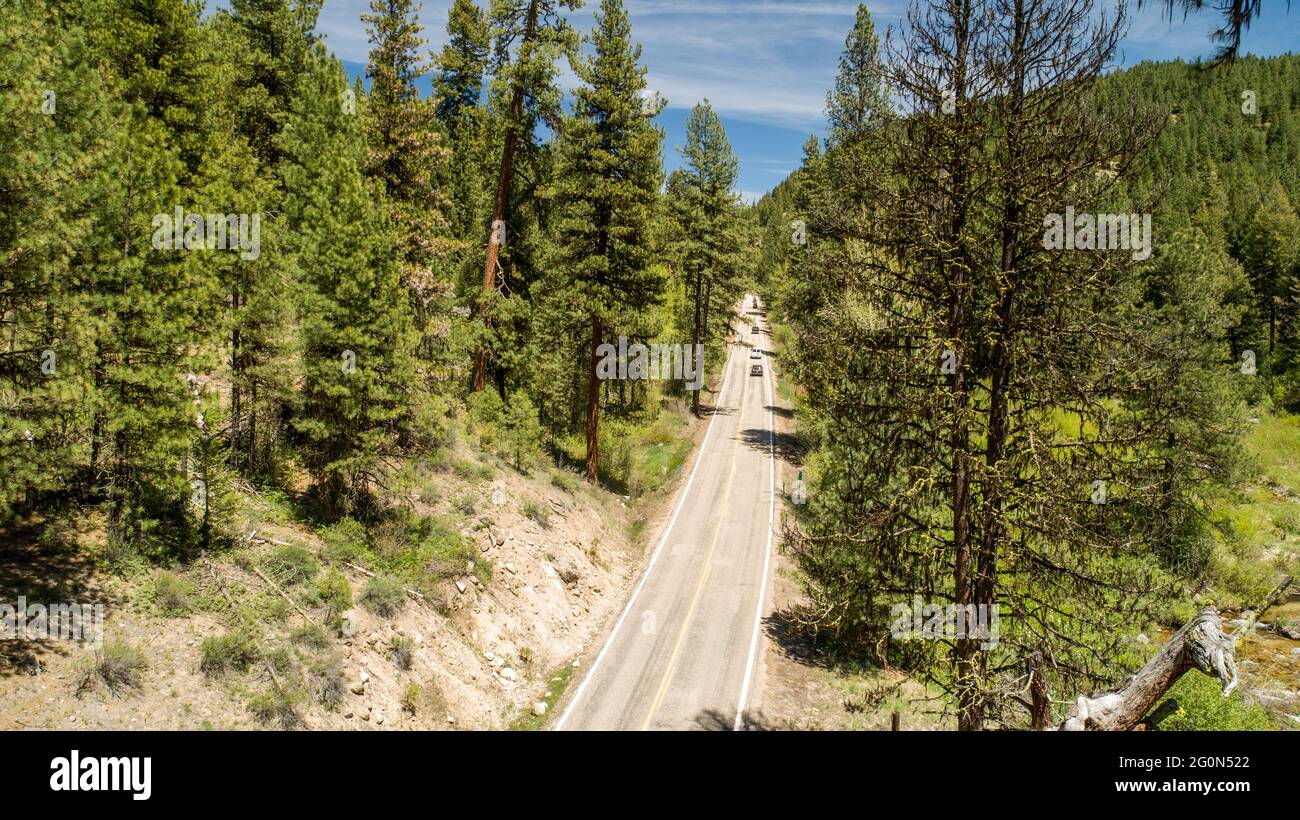 Asphalt road through spring forest hi-res stock photography and images ...