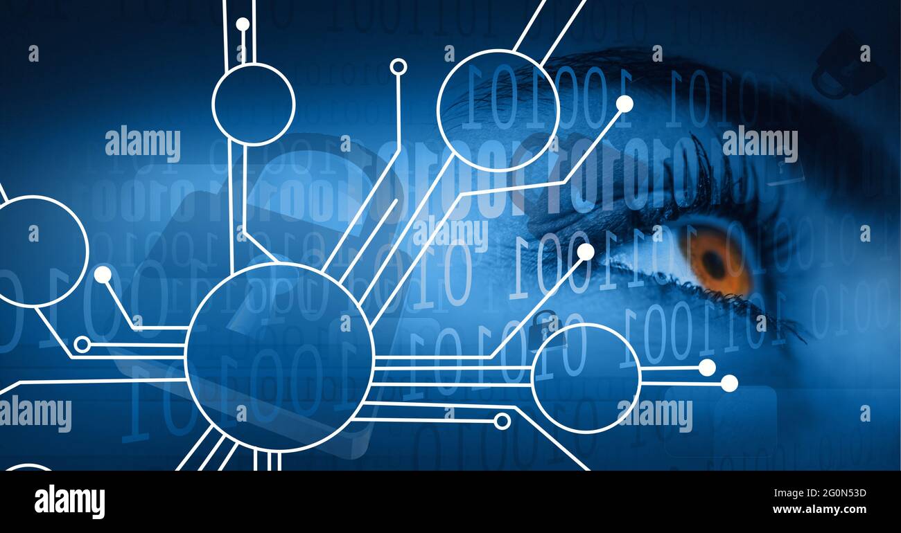 Composition Of Binary Coding And Network Of Connections Circuit Board
