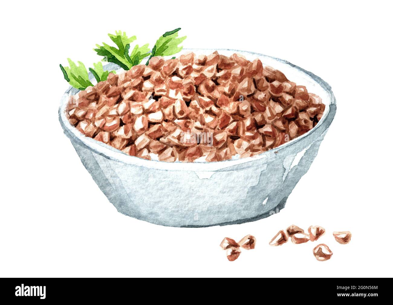 Bowl of Buckwheat grains with parslet leaf. Hand drawn watercolor ...