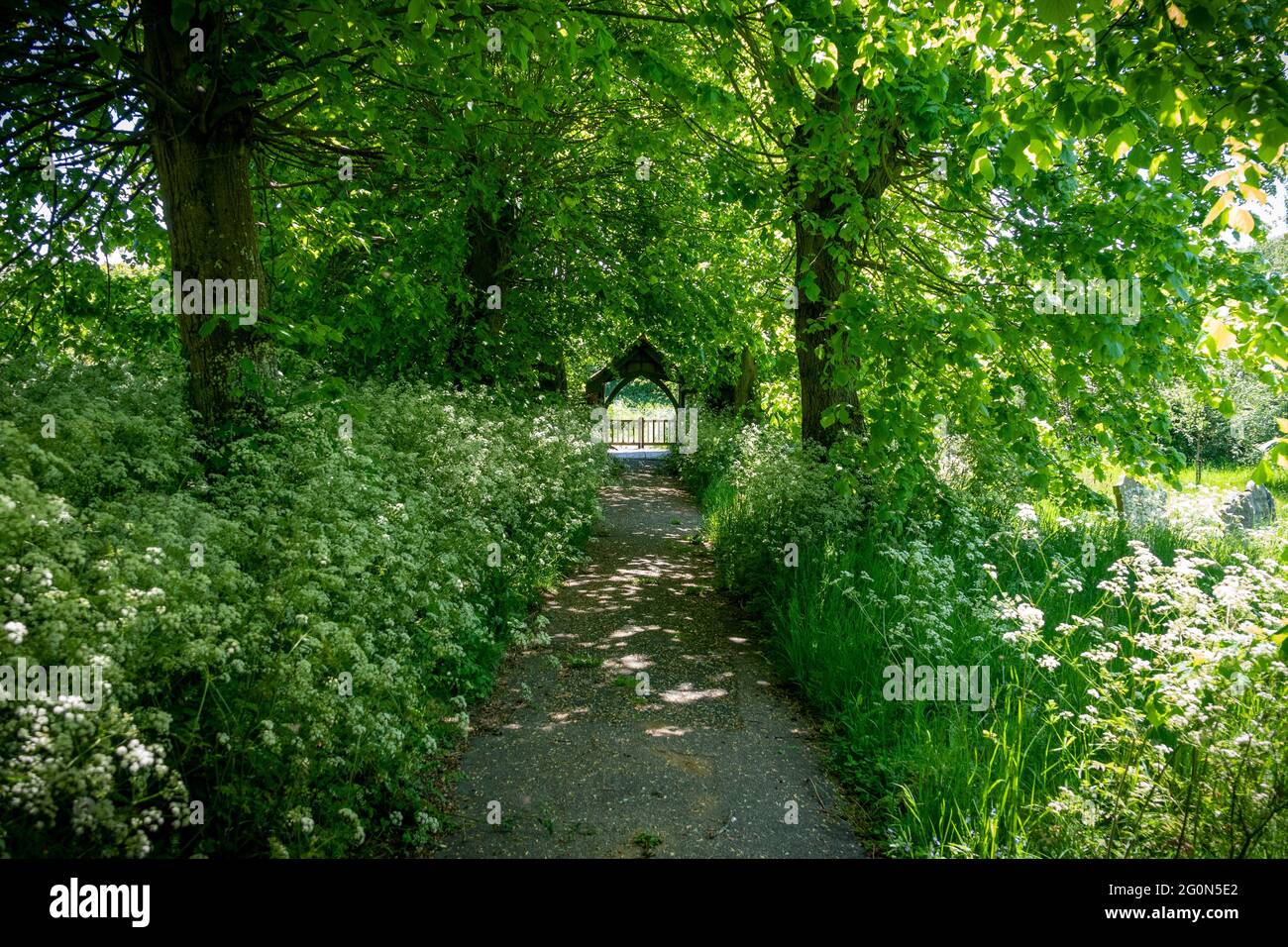 Footpath in sunlight and shade hi-res stock photography and images - Alamy