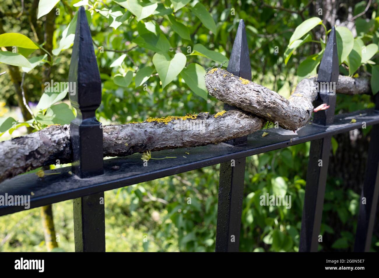 Snake fence hi-res stock photography and images - Alamy