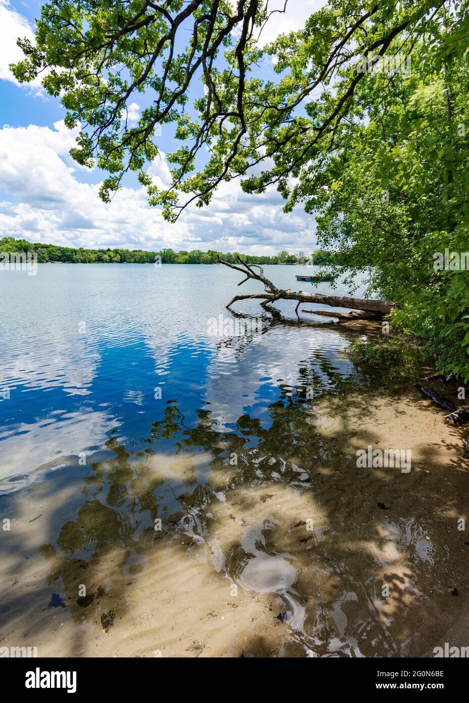 A vertical crop of a Wisconsin Lake (Lower Genesee Lake in Waukesha ...