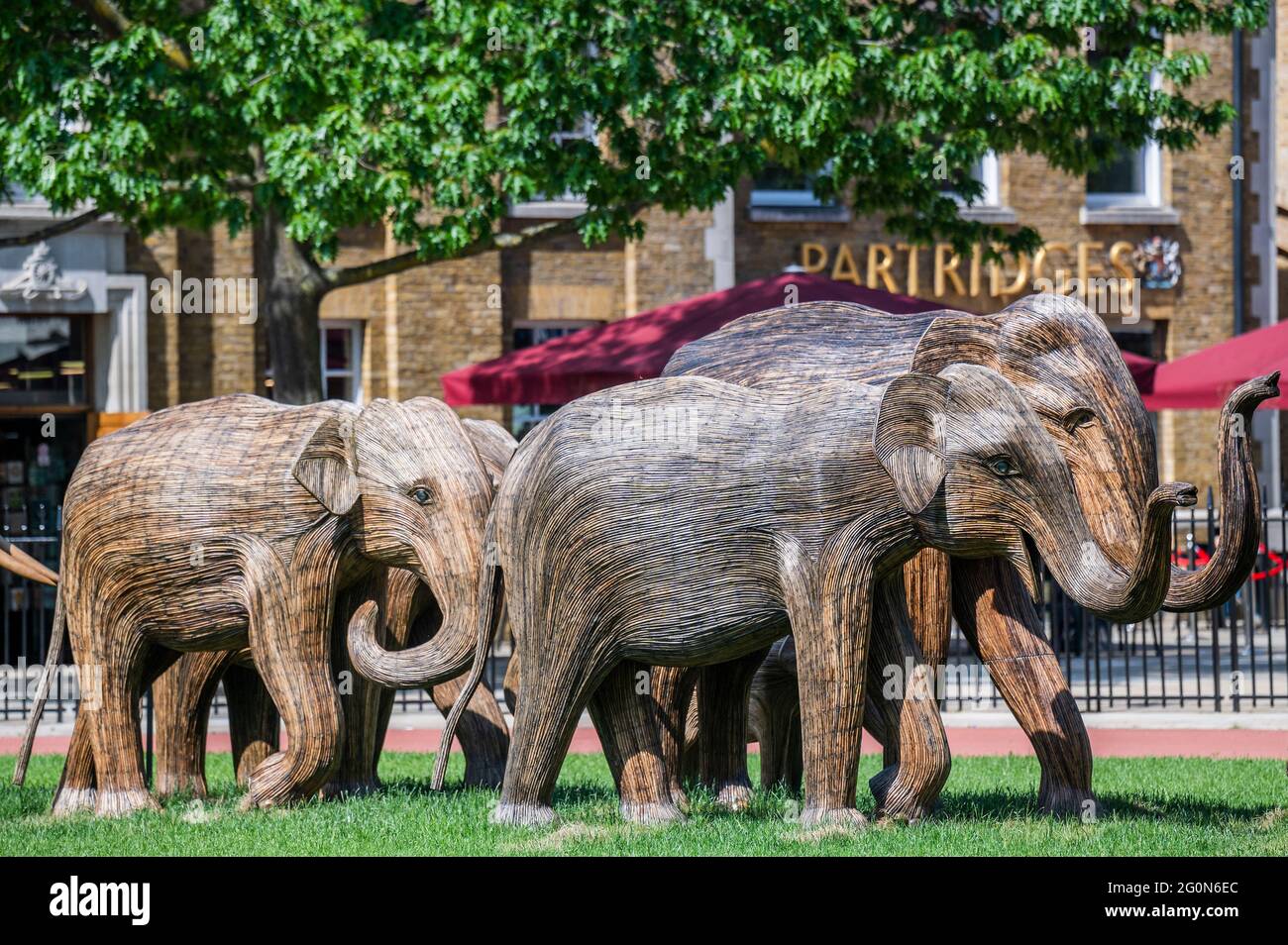 London, UK. 2nd June, 2021. Elephant Family - part of a herd of life ...