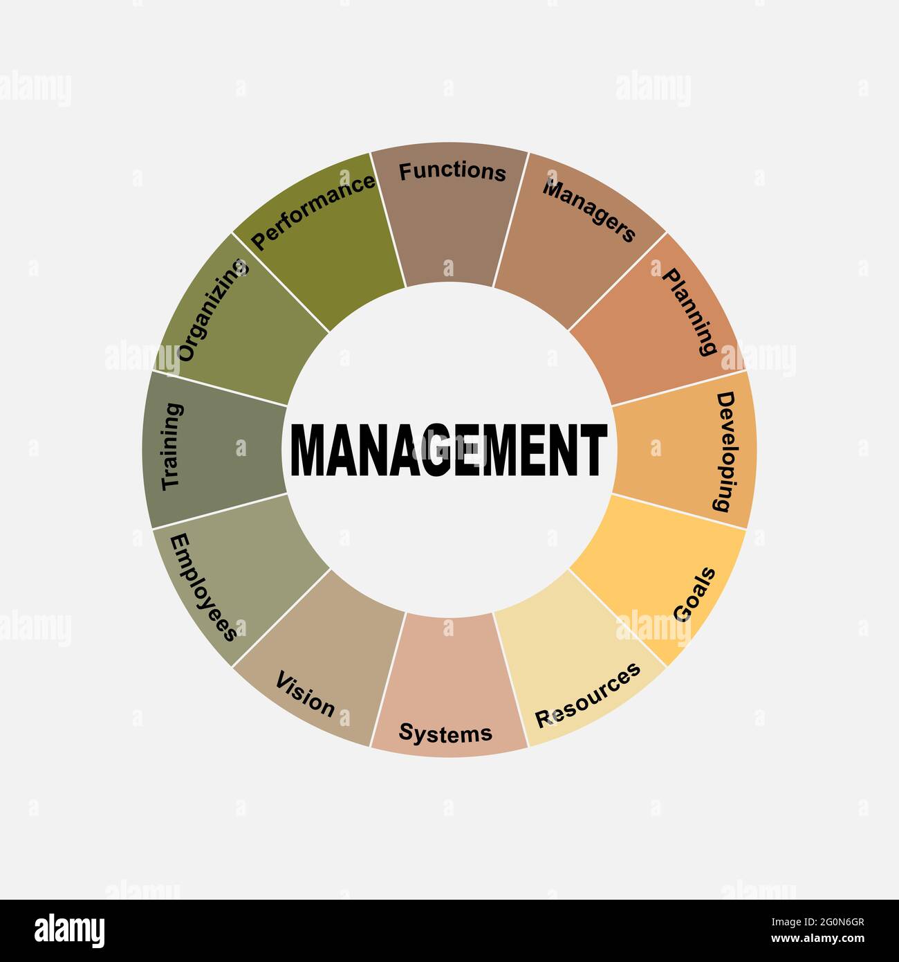 Diagram concept with Management text and keywords. EPS 10 isolated on ...