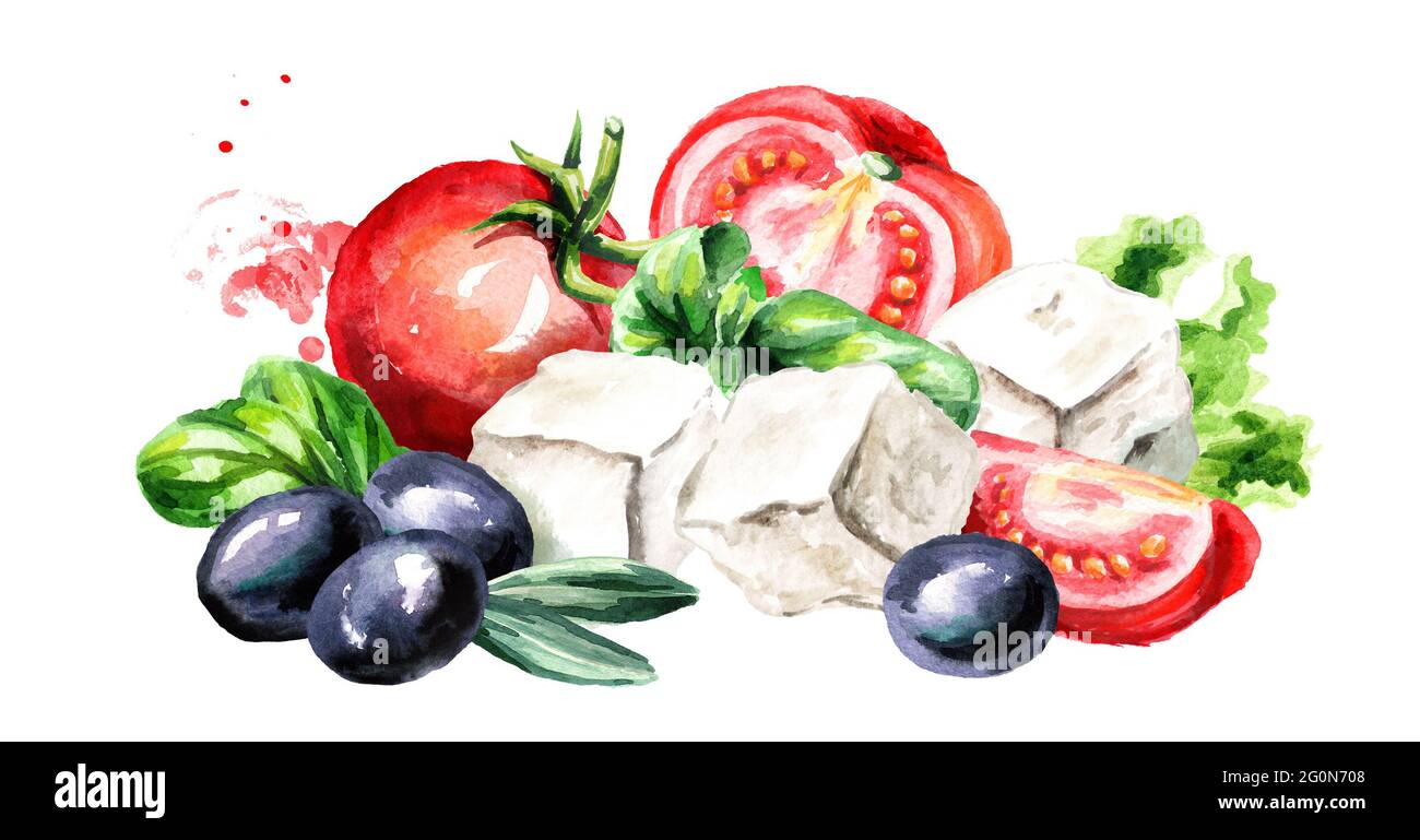 Greek feta cheese cubes with olives and tomatoes. Watercolor hand drawn ...