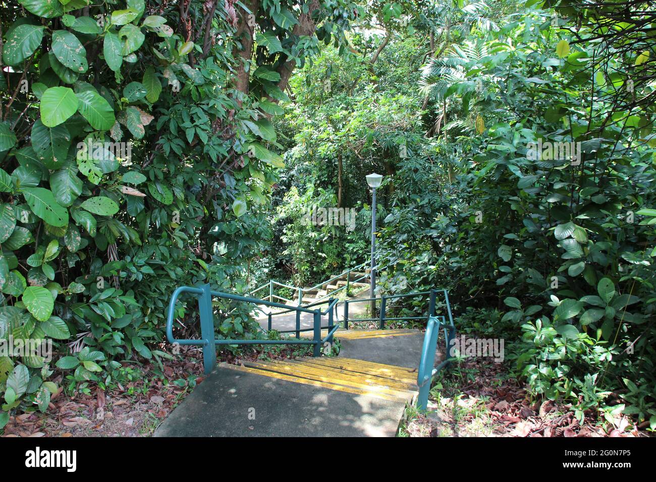 kent ridge park in singapore Stock Photo - Alamy