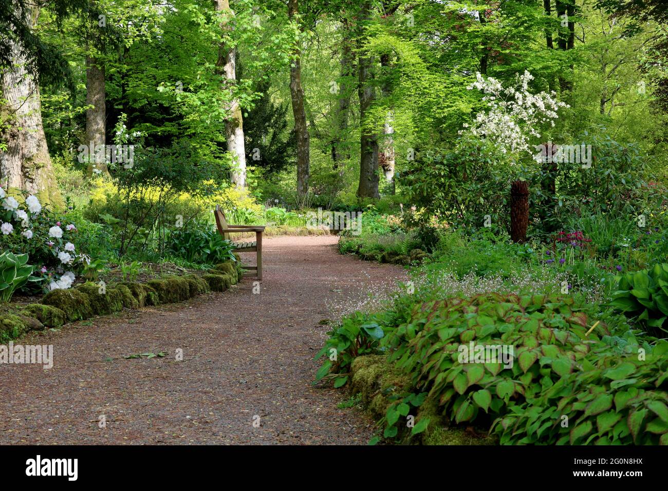 Wooden bench on a country park footpath Stock Photo - Alamy