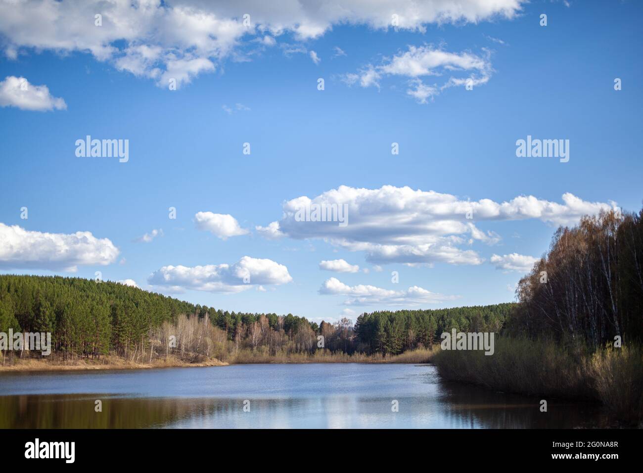 A clear lake in a green forest. Blue sky with white clouds over a lake ...