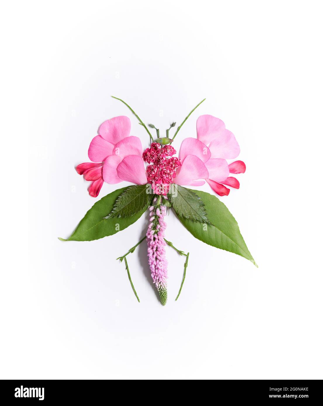 Pink and green bug or fly made from natural materials: different green ...