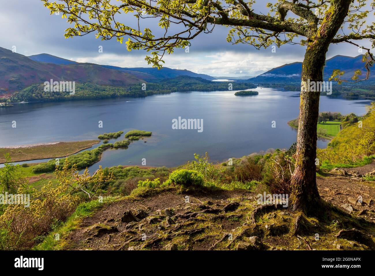 Late afternoon at Surprise View overlooking Derwent Water and ...