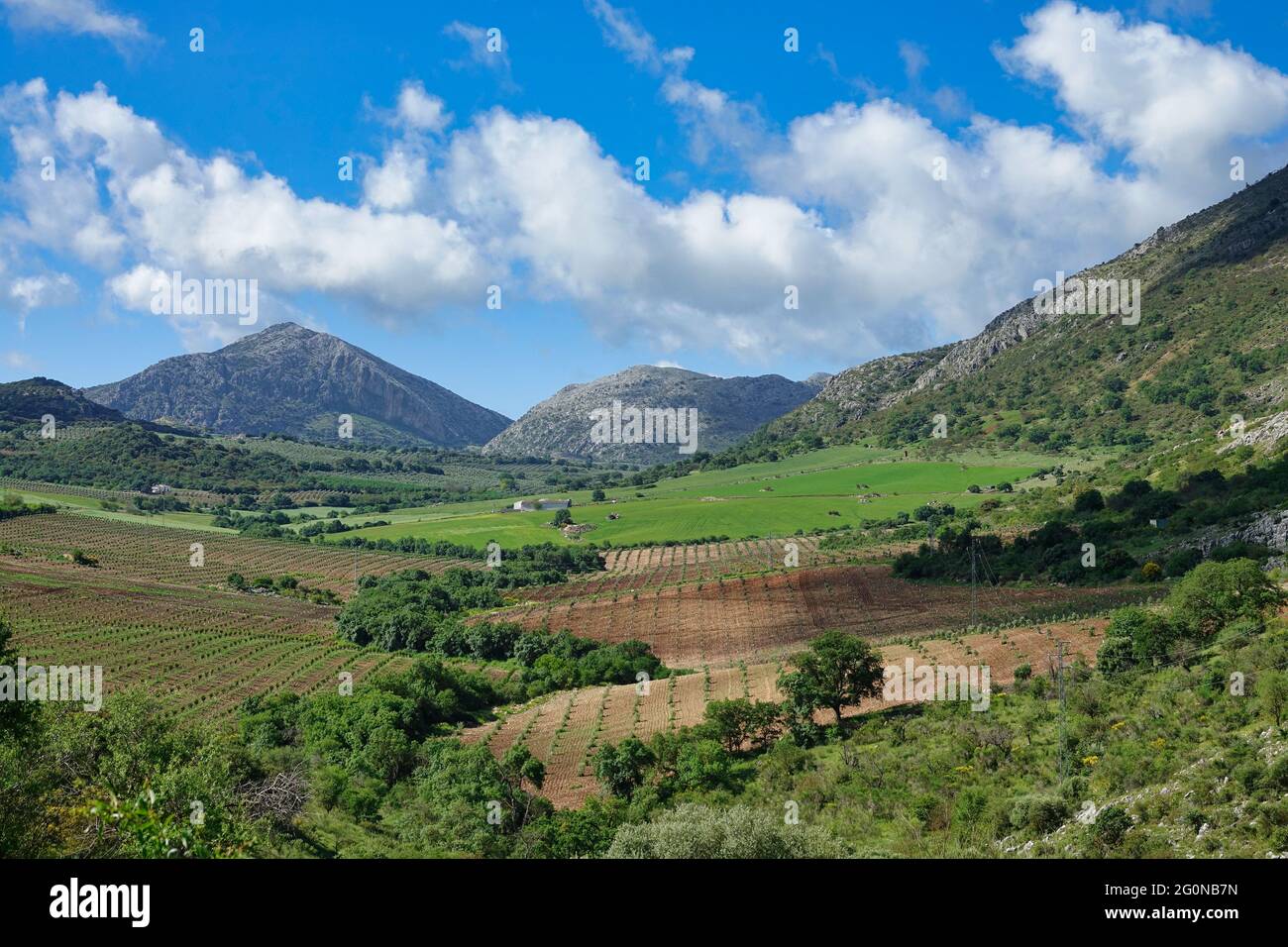 Different crops hi-res stock photography and images - Alamy