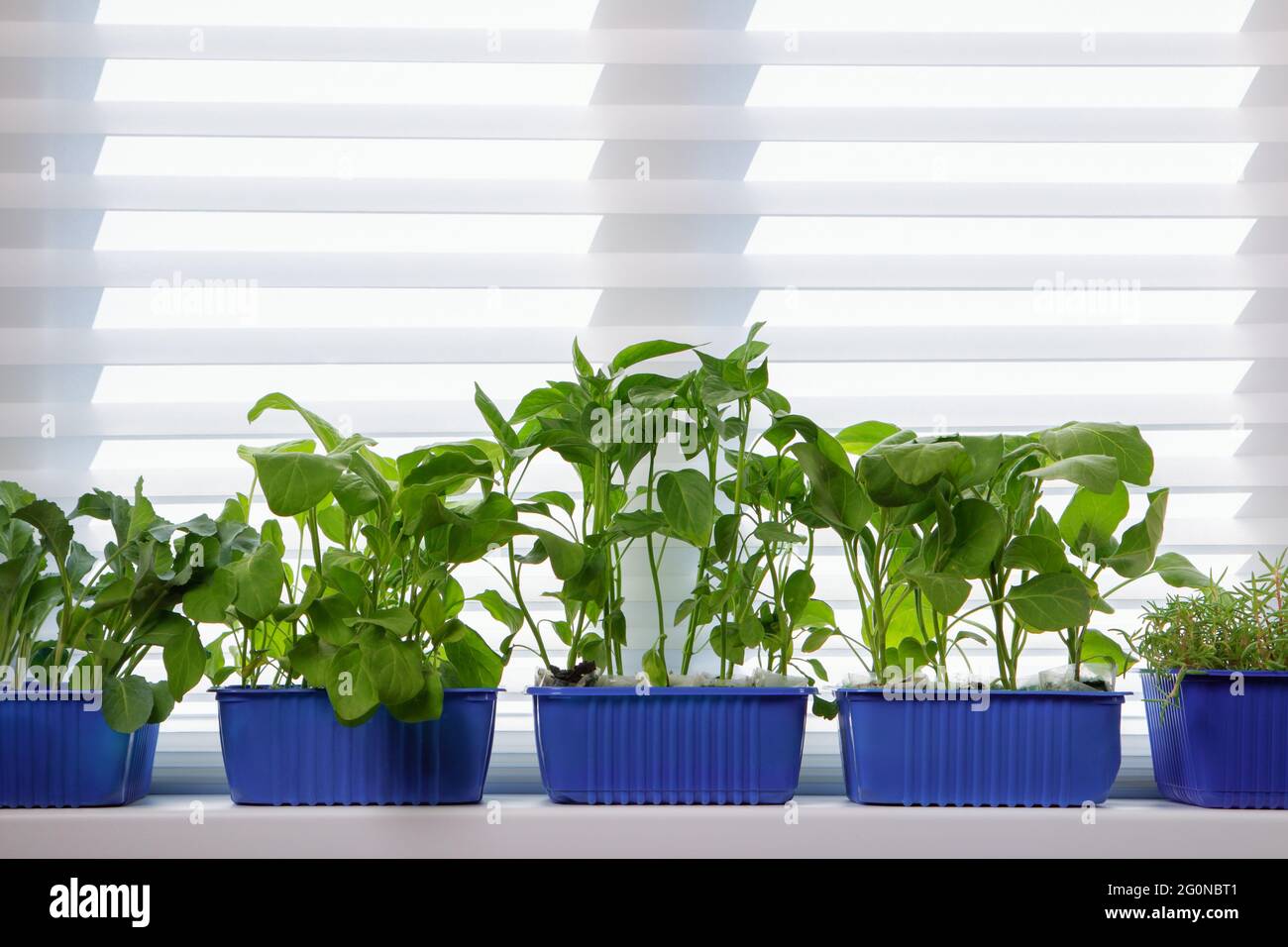 Spring cultivation hi-res stock photography and images - Alamy