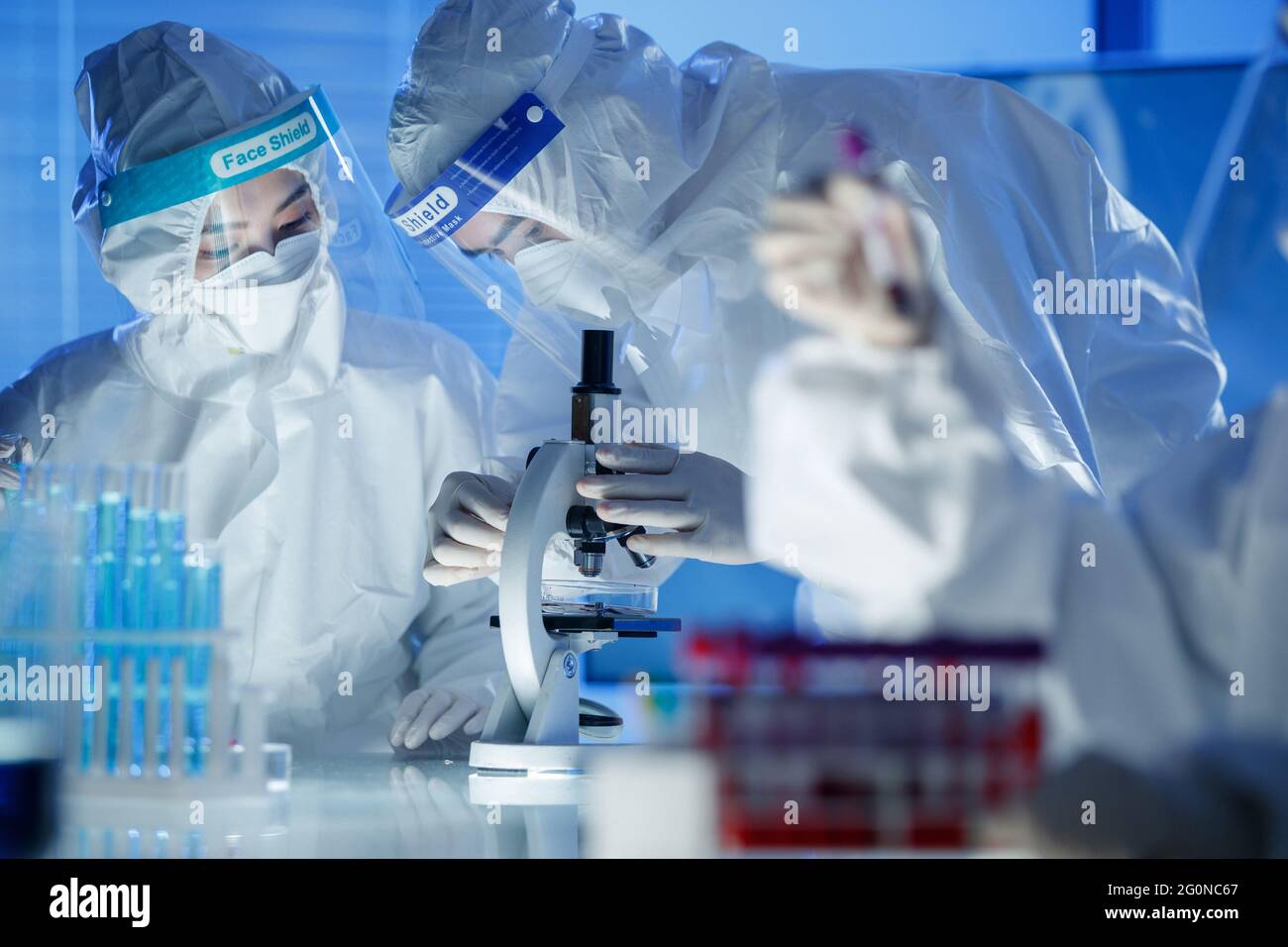 Medical workers do medical experiments Stock Photo - Alamy