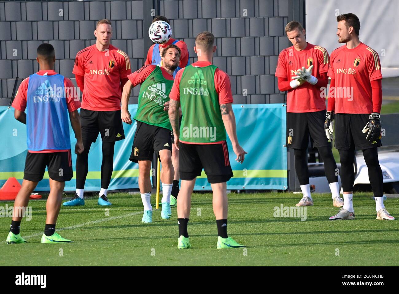 Belgium's Youri Tielemans, Belgium's goalkeeper Matz Sels, Belgium's ...