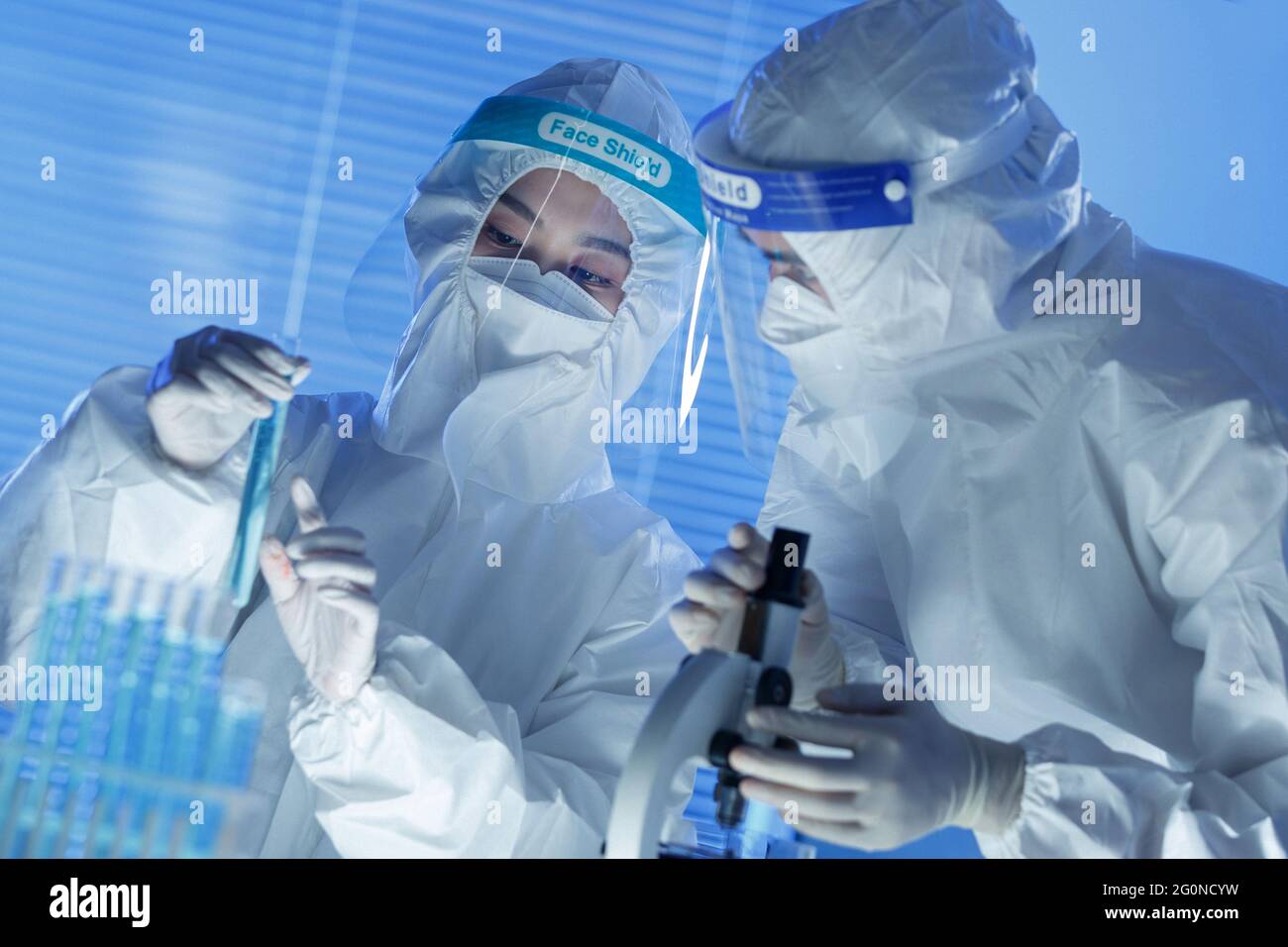 Medical workers do medical experiments Stock Photo - Alamy