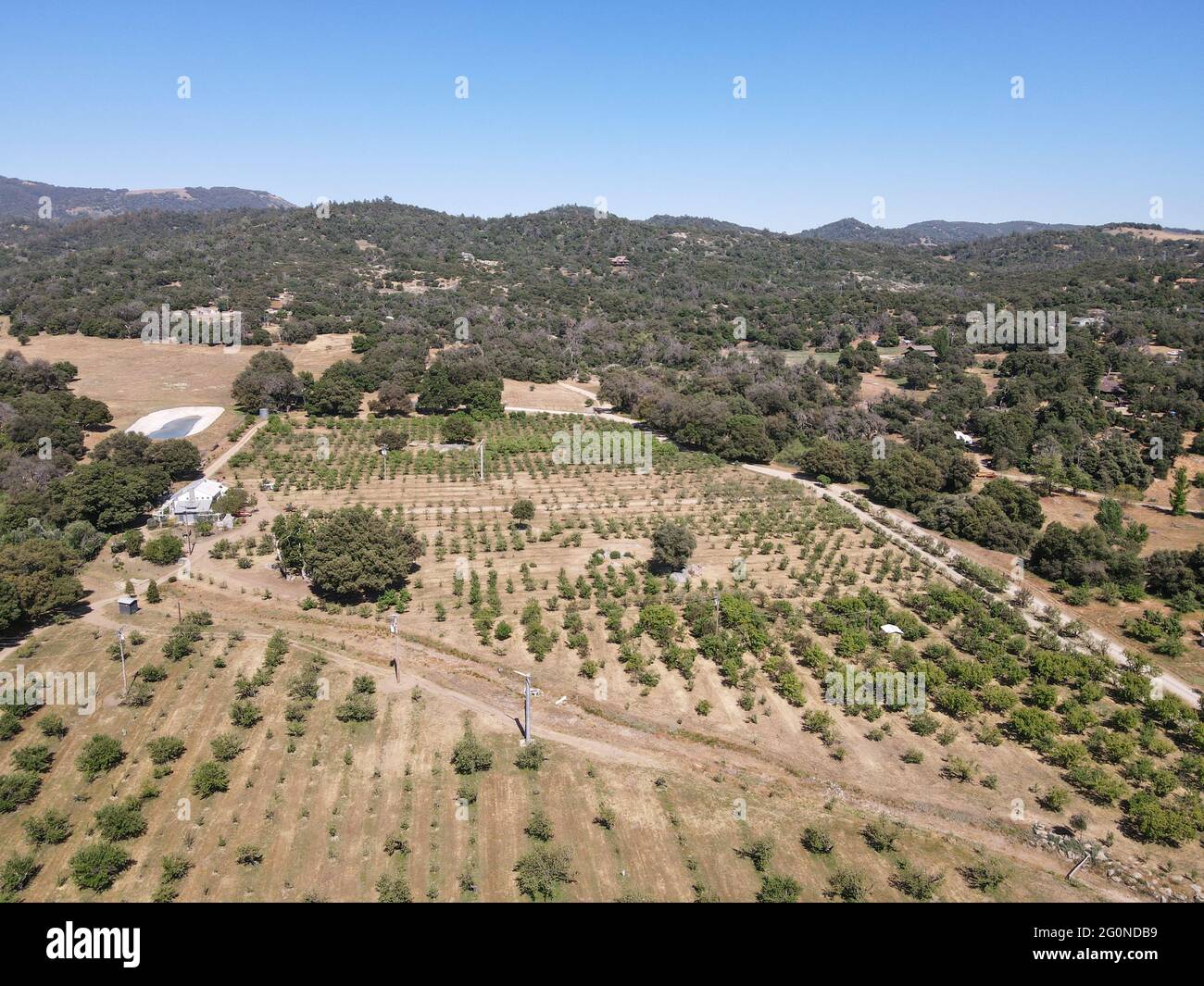 Aerial view of apple tree land in Julian, town famous for its apples ...