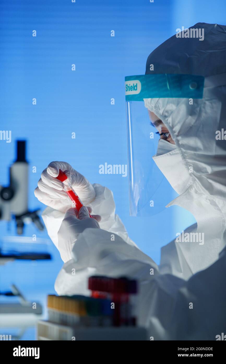 Medical workers do medical experiments Stock Photo - Alamy