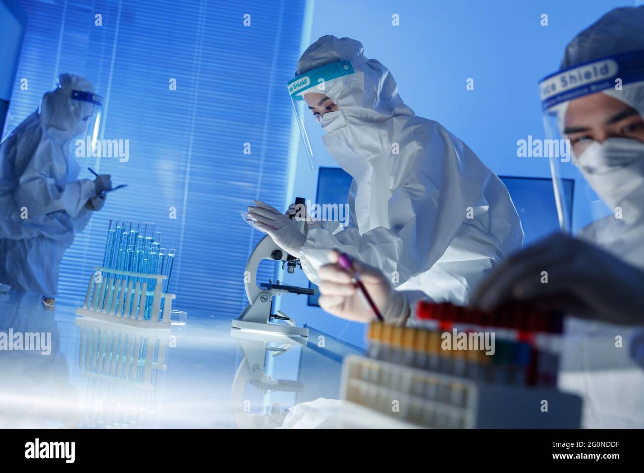The medical team to do science experiments Stock Photo - Alamy