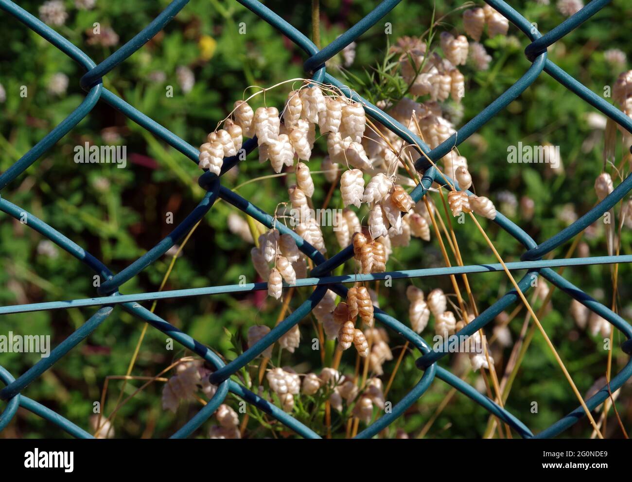 Brixa hi-res stock photography and images - Alamy