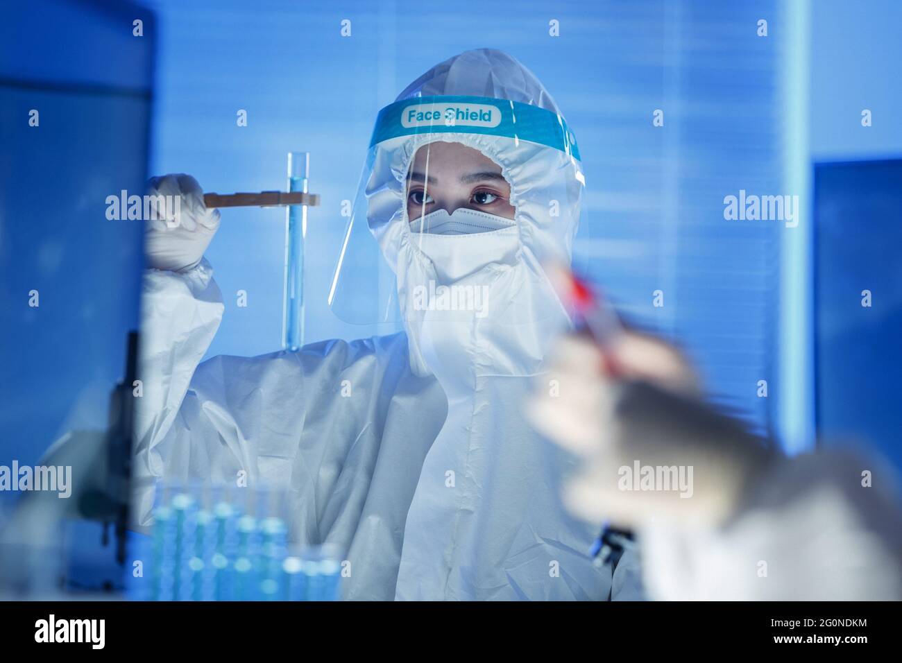 Medical workers do medical experiments Stock Photo - Alamy