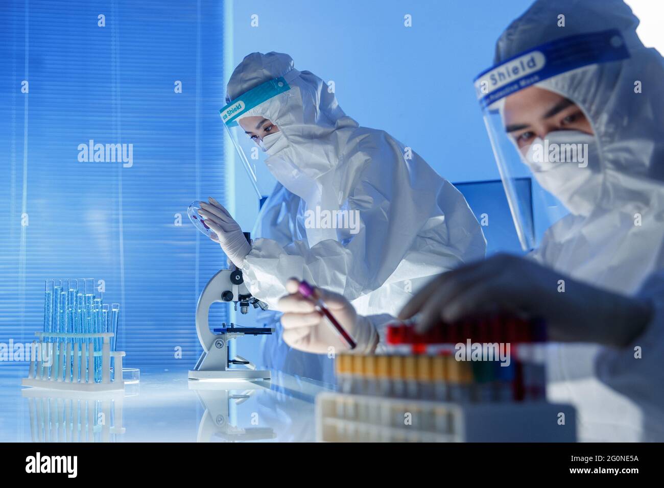 Laboratory workers watching medical hi-res stock photography and images ...