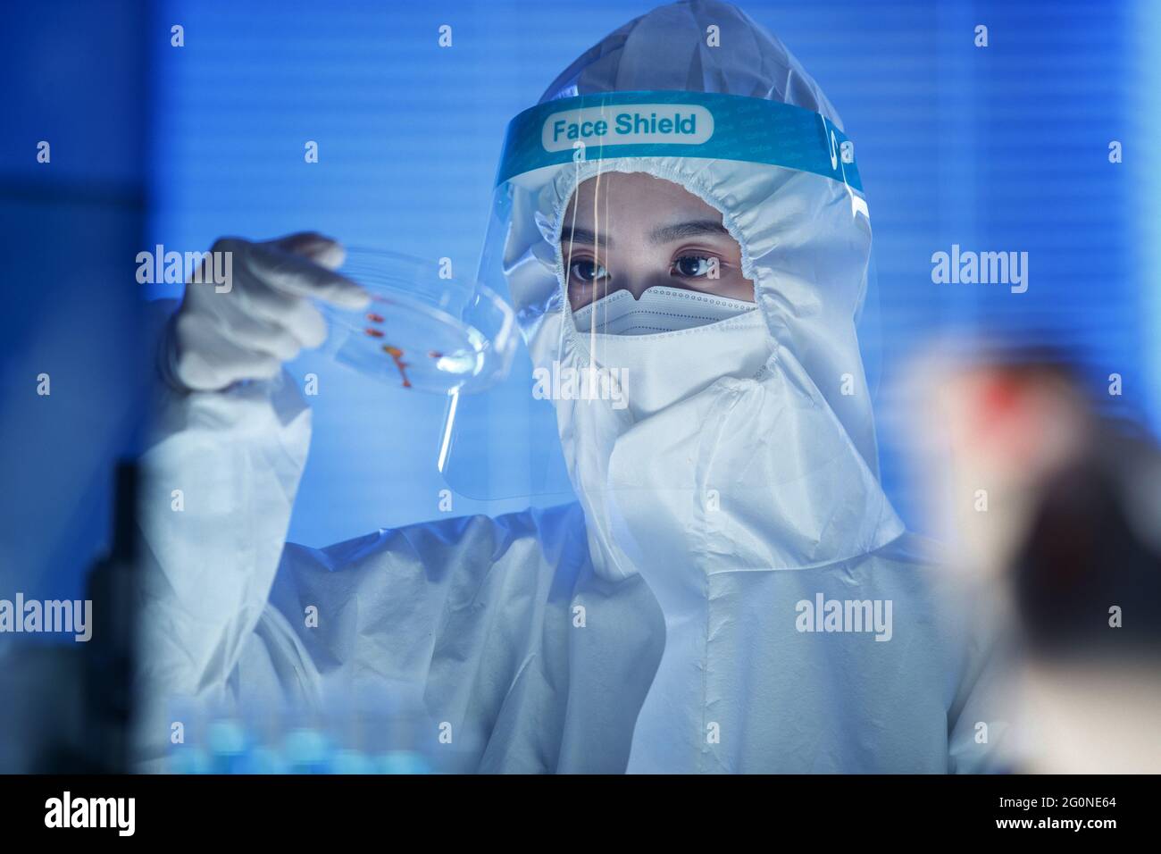 Medical workers do medical experiments Stock Photo - Alamy