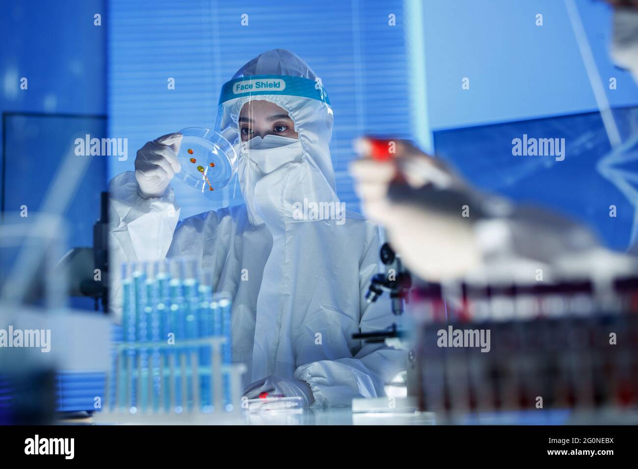 Laboratory workers watching medical hi-res stock photography and images ...