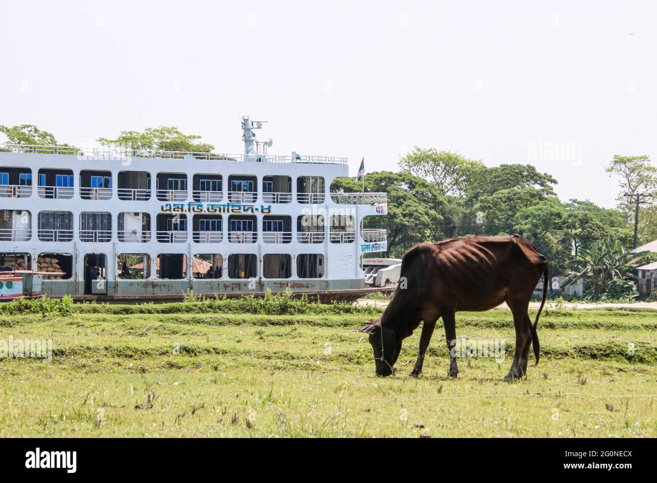 Bhola, Bangladesh : Letra Ferry Terminal located by the banks of a ...