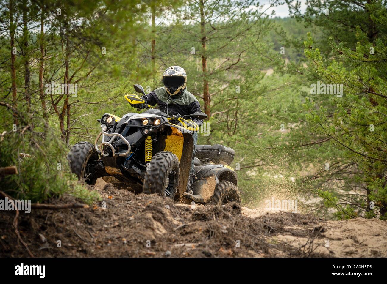 Quad bike ride in the woods hi-res stock photography and images - Alamy