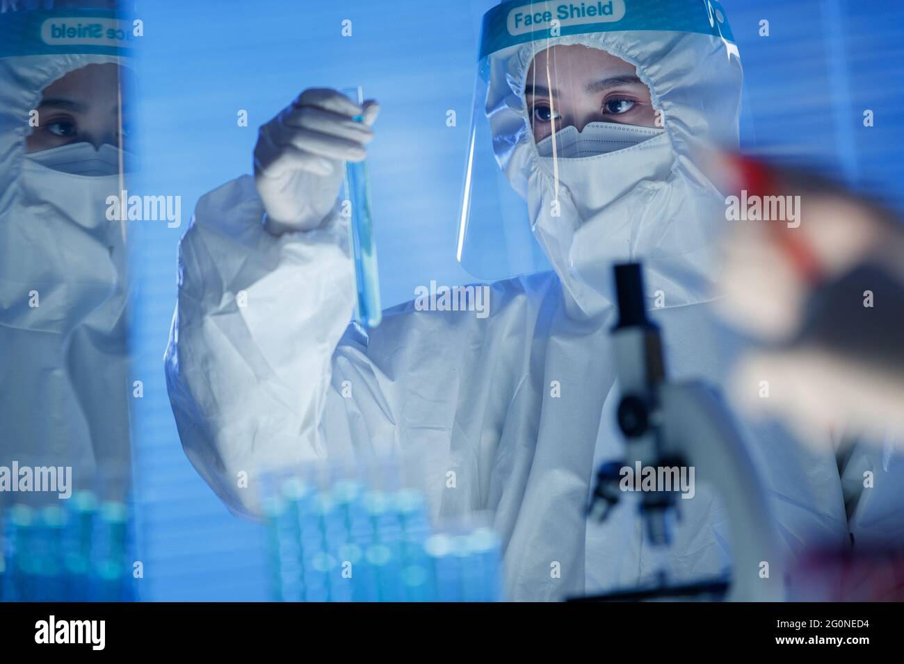 Medical workers do medical experiments Stock Photo - Alamy