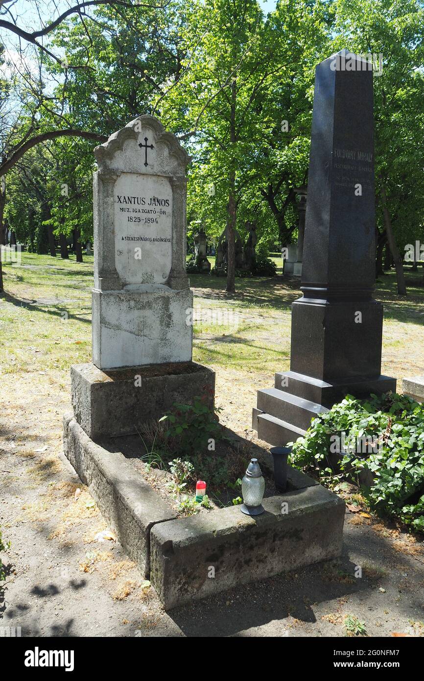 Tomb of János Xántus (John Xantus) zoologist, Kerepesi Cemetery (Fiume Road National Graveyard ...