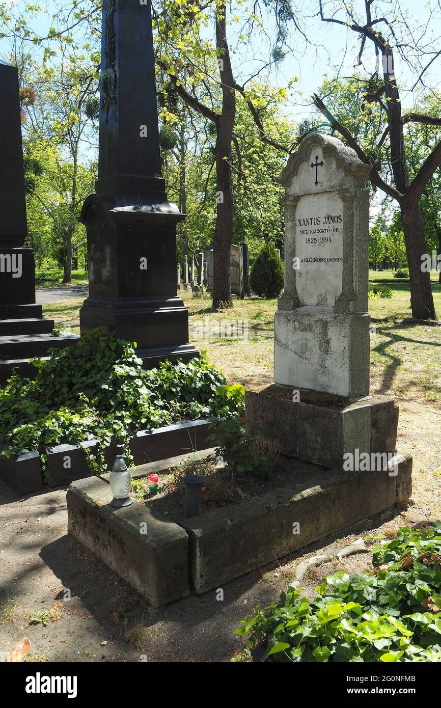 Tomb of János Xántus (John Xantus) zoologist, Kerepesi Cemetery (Fiume ...