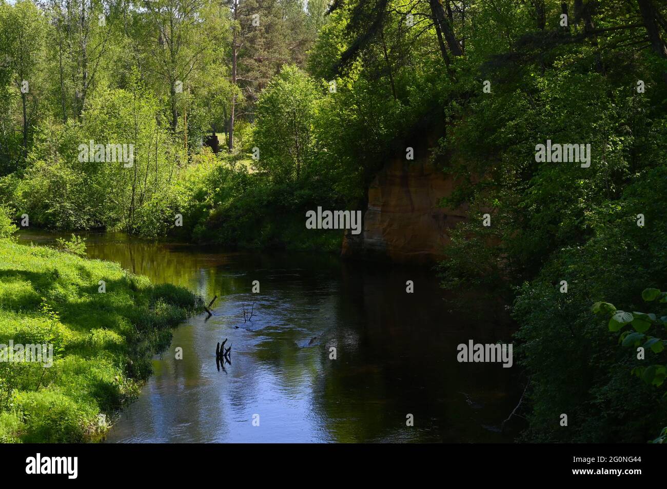 Sandstone rock outcrop on the river bank in the forest Stock Photo - Alamy