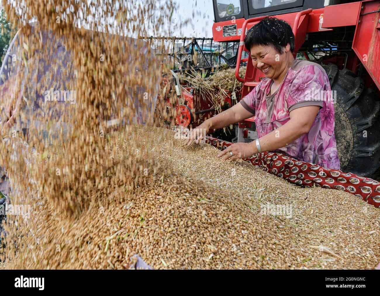 China grain output hi-res stock photography and images - Alamy