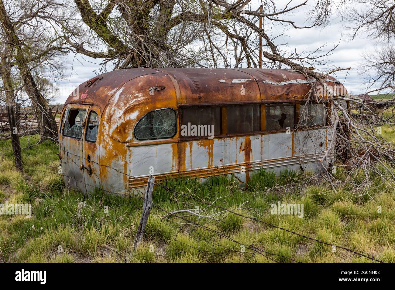 Old and rusting school bus parked in the ghost town of Ardmore, South ...