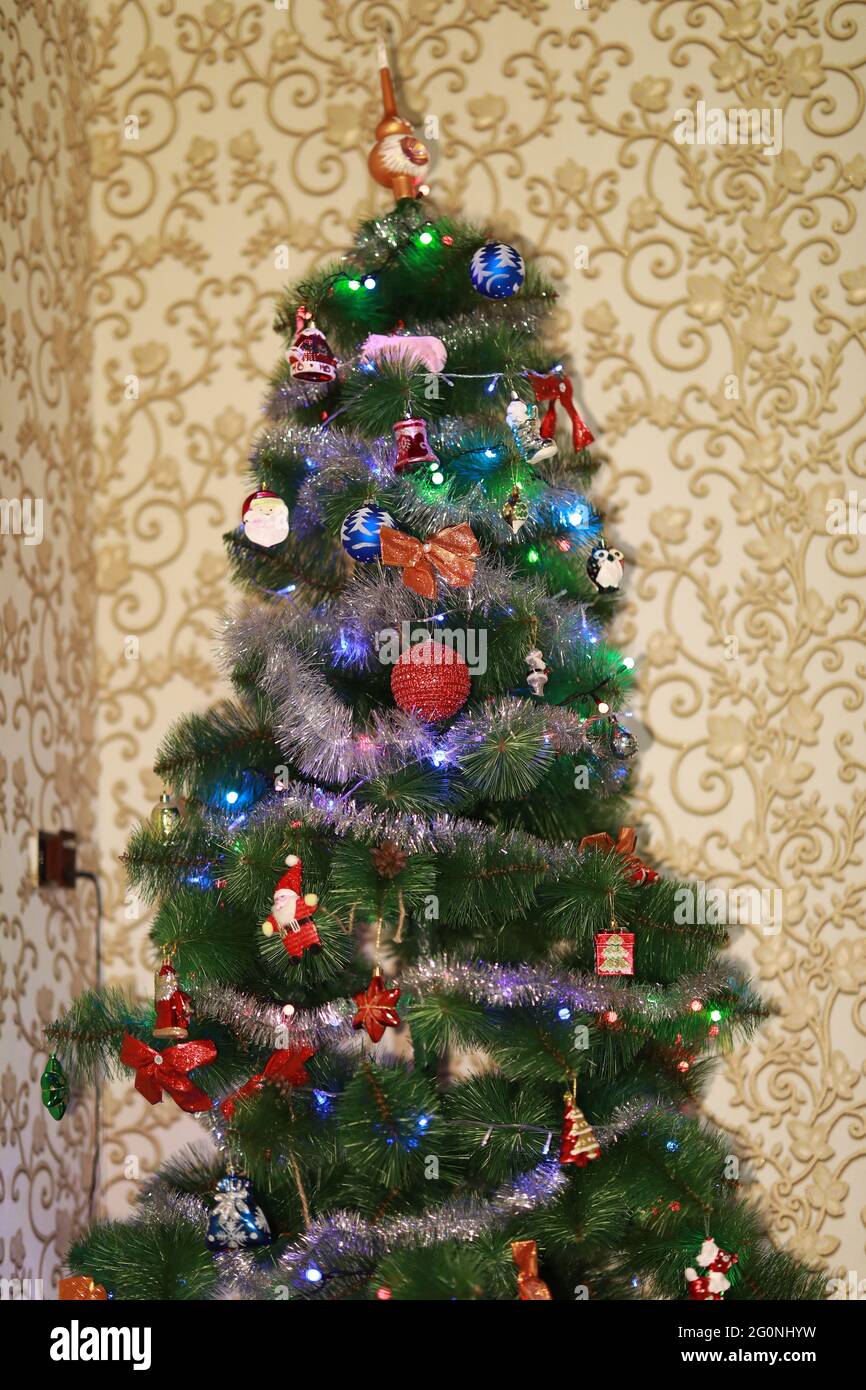 Christmas elegant tree stands under the window Stock Photo - Alamy