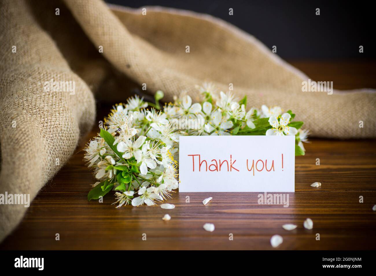 Thank you card mockup hi-res stock photography and images - Alamy