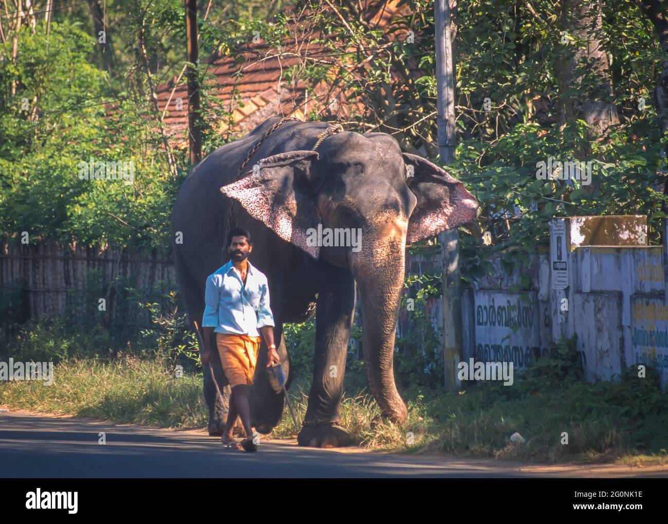 KERALA, INDIA - Mahout and Asian elephant on road Stock Photo - Alamy
