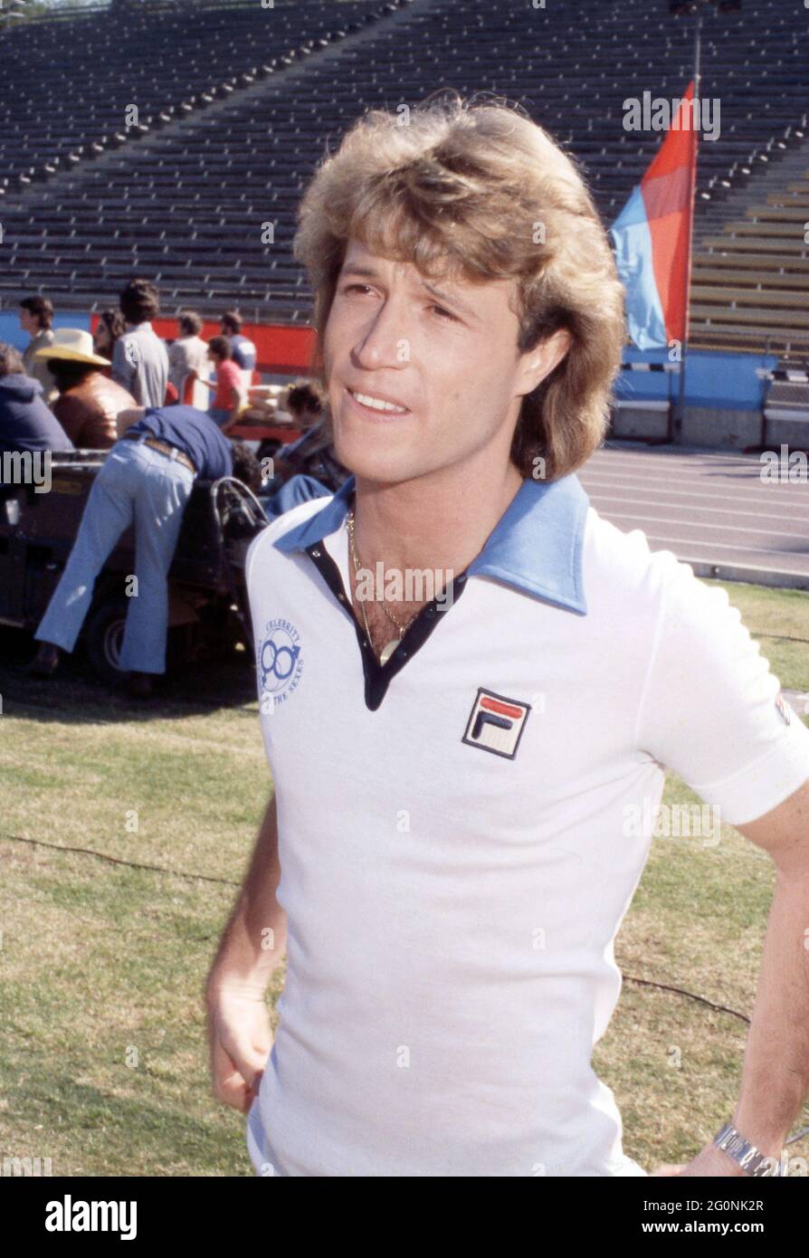 Andy Gibb Circa 1980's Credit: Ralph Dominguez/MediaPunch Stock Photo ...