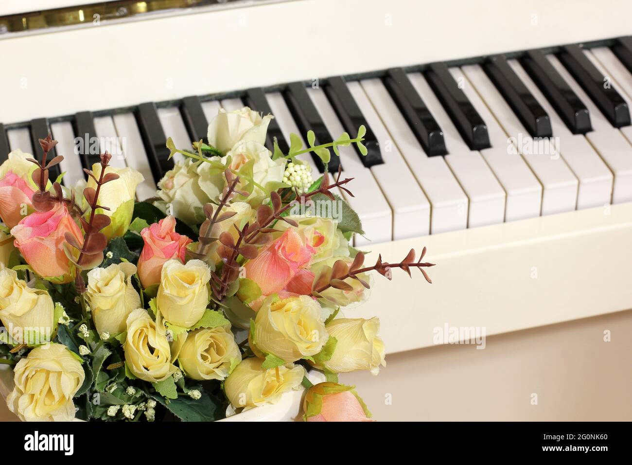 Dog piano free hi-res stock photography and images - Alamy
