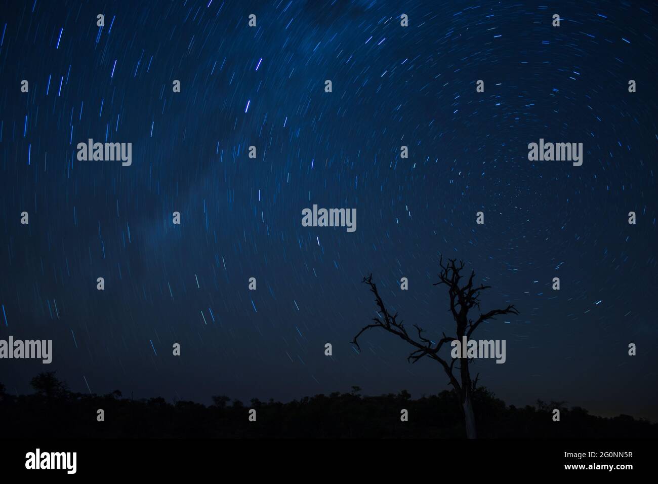 A Star trail of the African night sky, photographed in the Greater ...