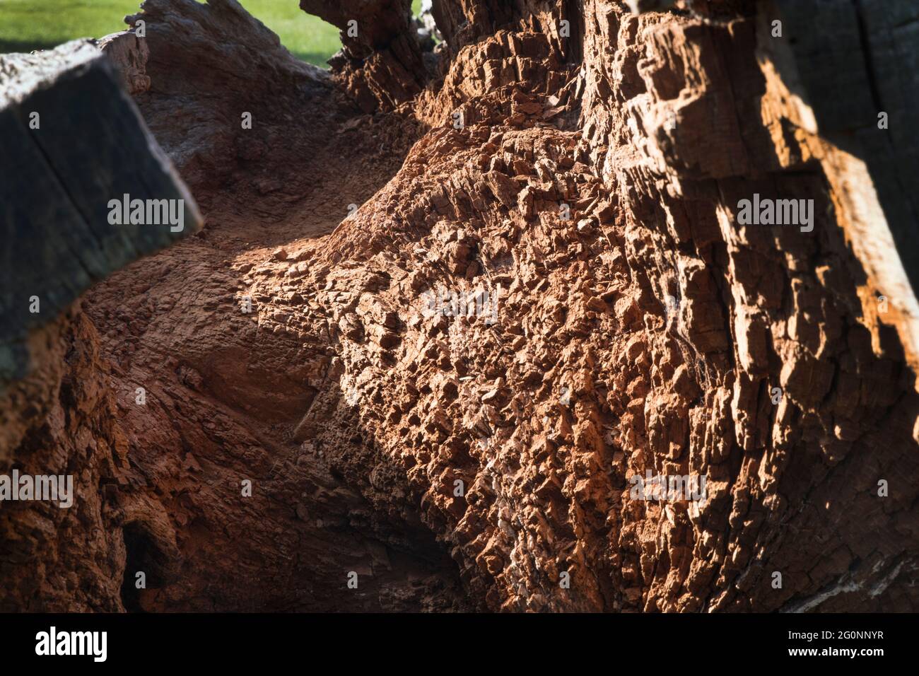 Damp rotting wood hi-res stock photography and images - Alamy