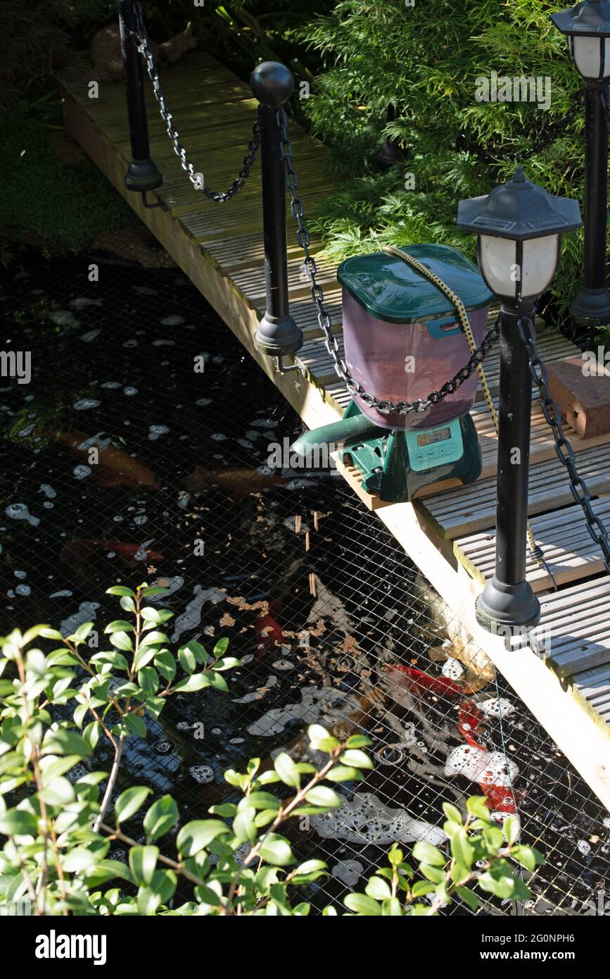Automatic pond fish-feeder Stock Photo - Alamy