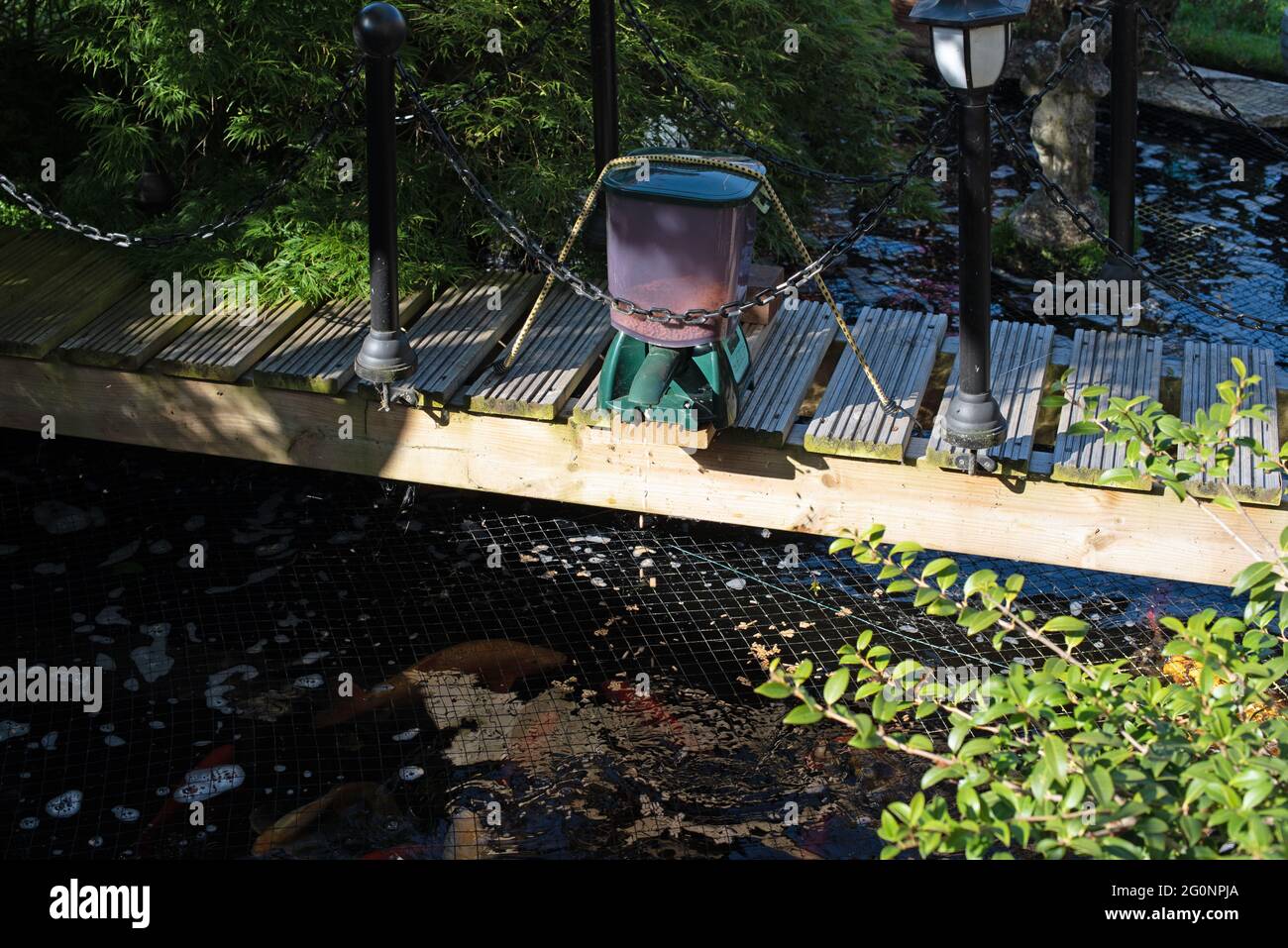 Automatic pond fish-feeder Stock Photo - Alamy