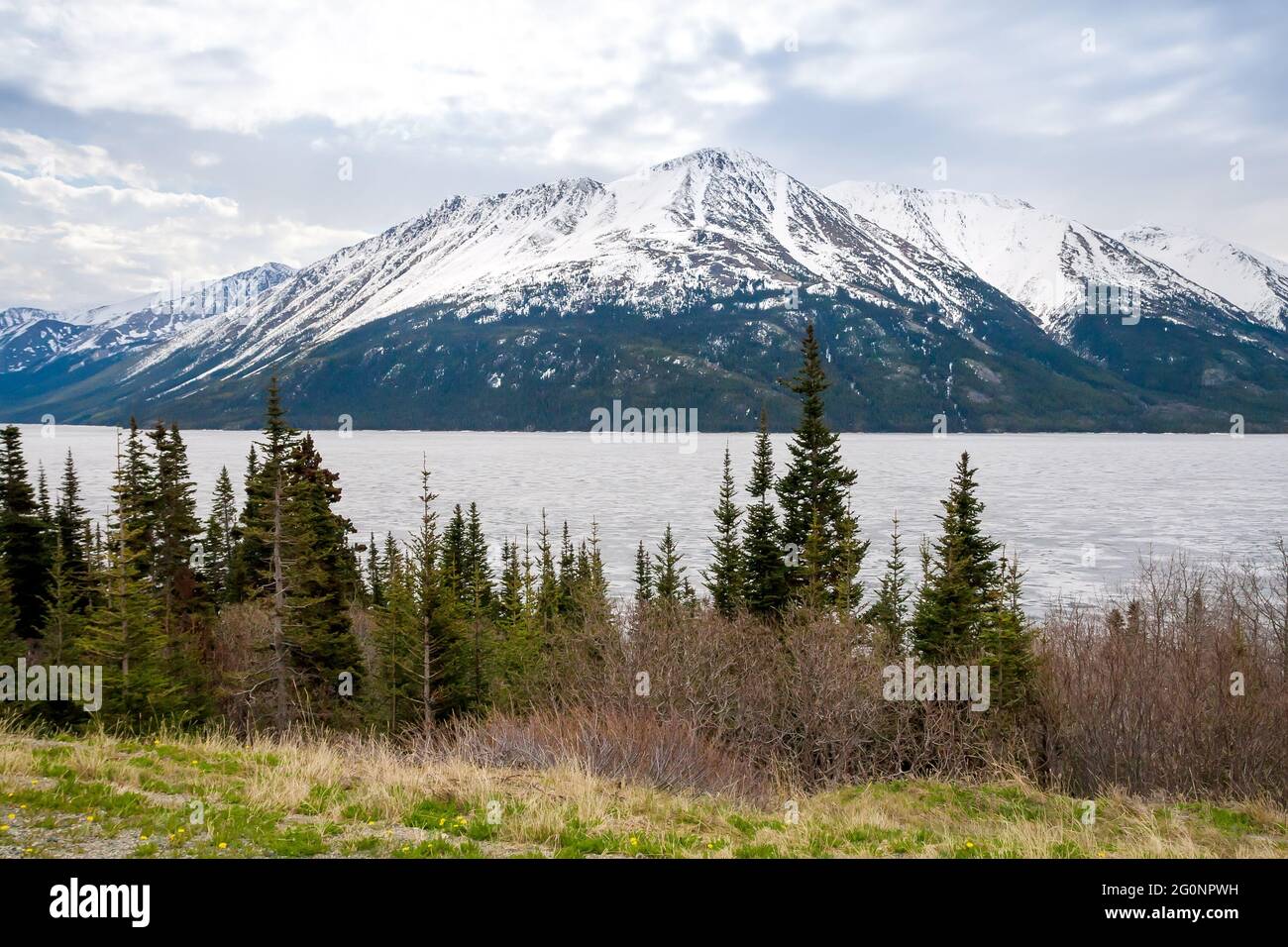 Tutshi Lake with evergreen trees and snow-capped mountains in British ...