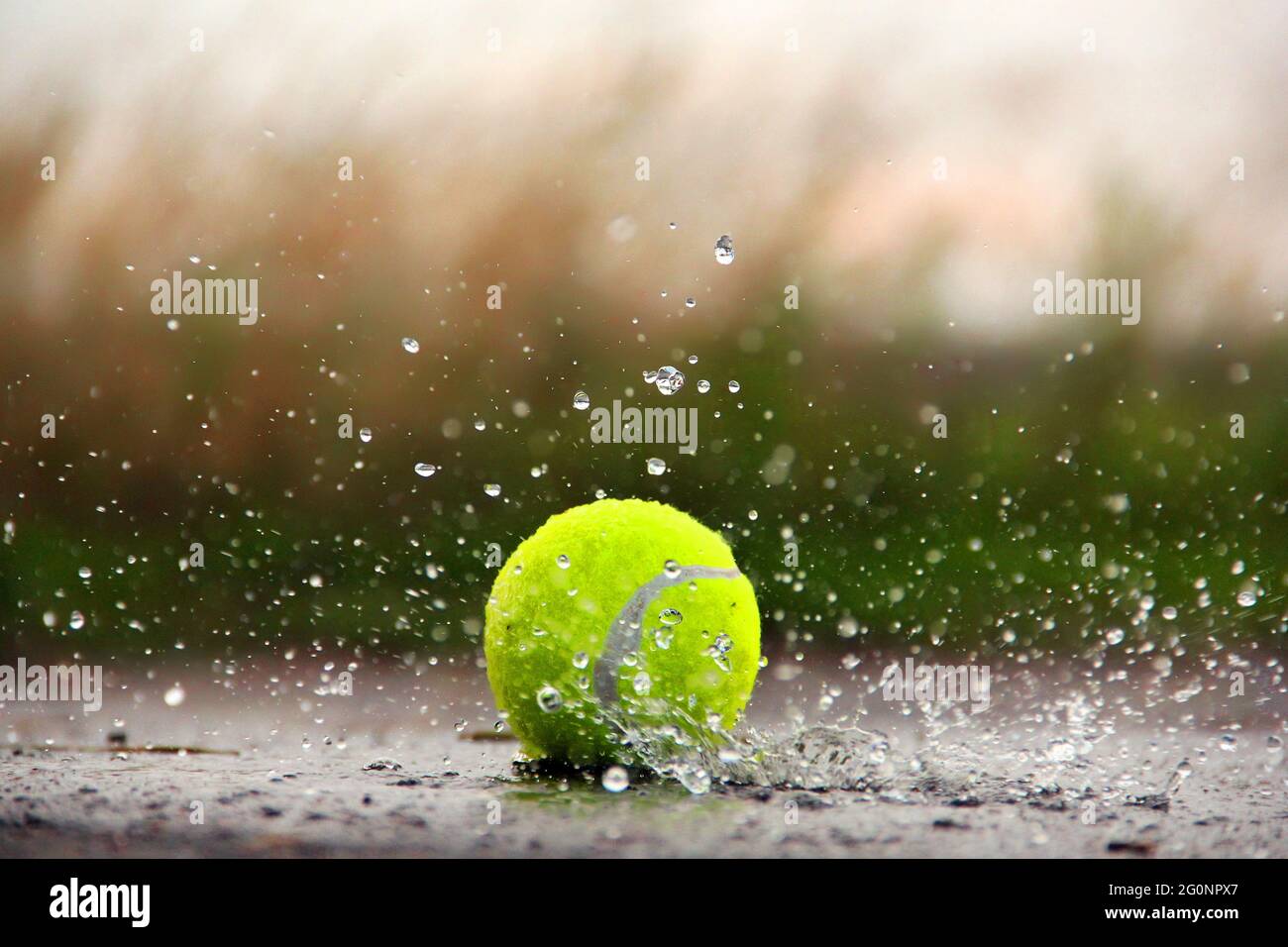 Tennis ball in the water. Tennis Ball and Water Drops Stock Photo - Alamy