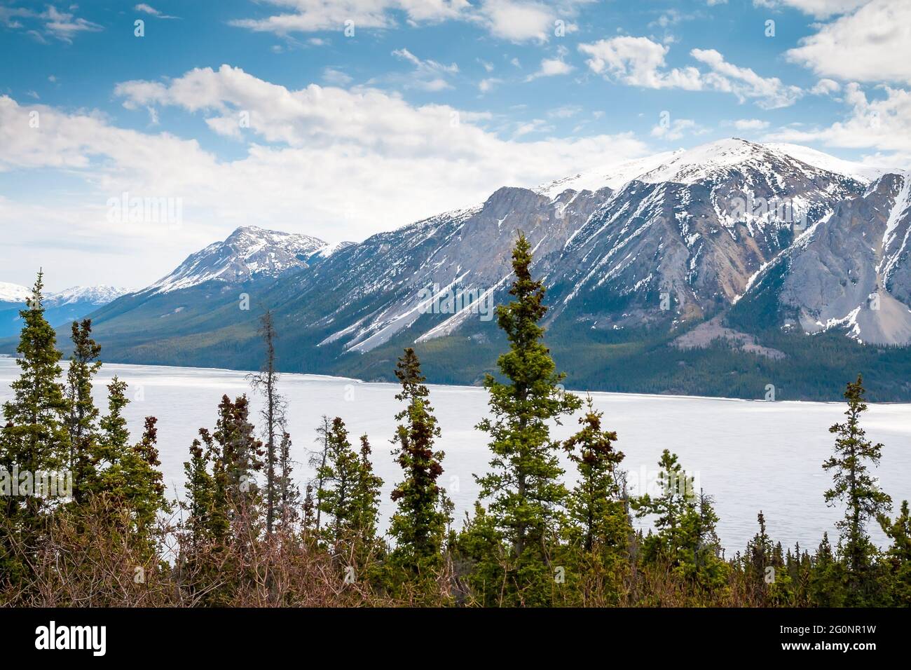 Yukon snow trees hi-res stock photography and images - Alamy