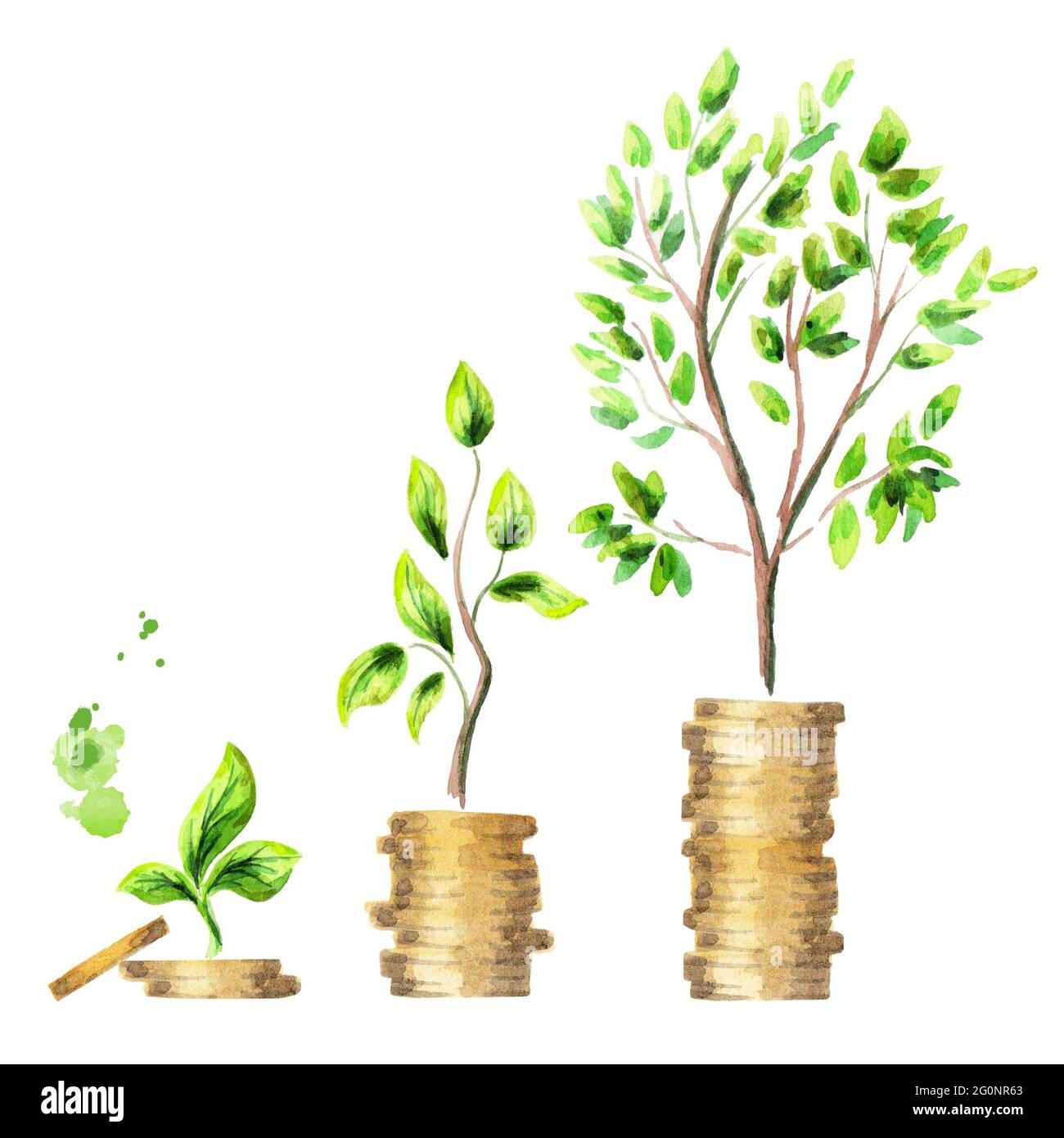 Growth of money. Watercolor hand-drawn set Stock Photo - Alamy