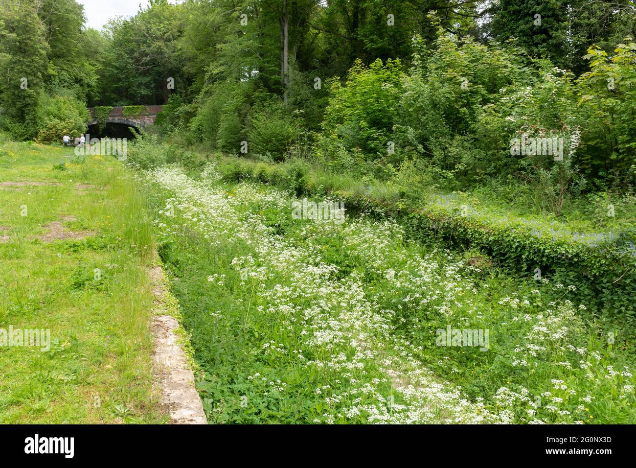 Old railway bridge and disused railway line at the start of the Meon ...