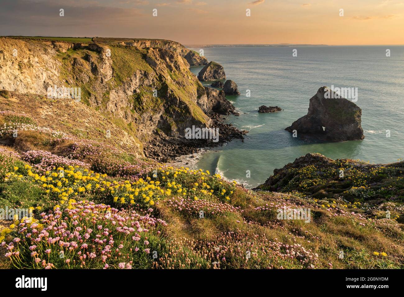 Stunning landscape image during golden hour on Cornwall coastline at ...